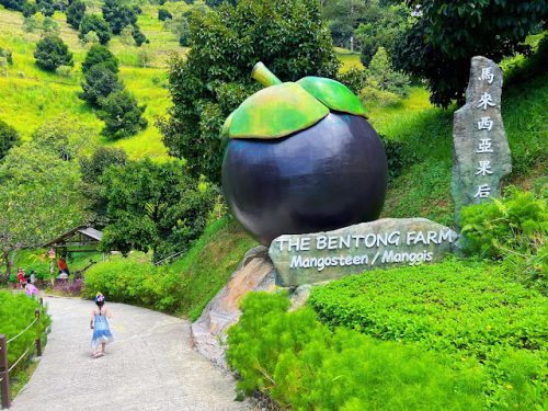 Bentong Tour – Mutiara Indah Agency